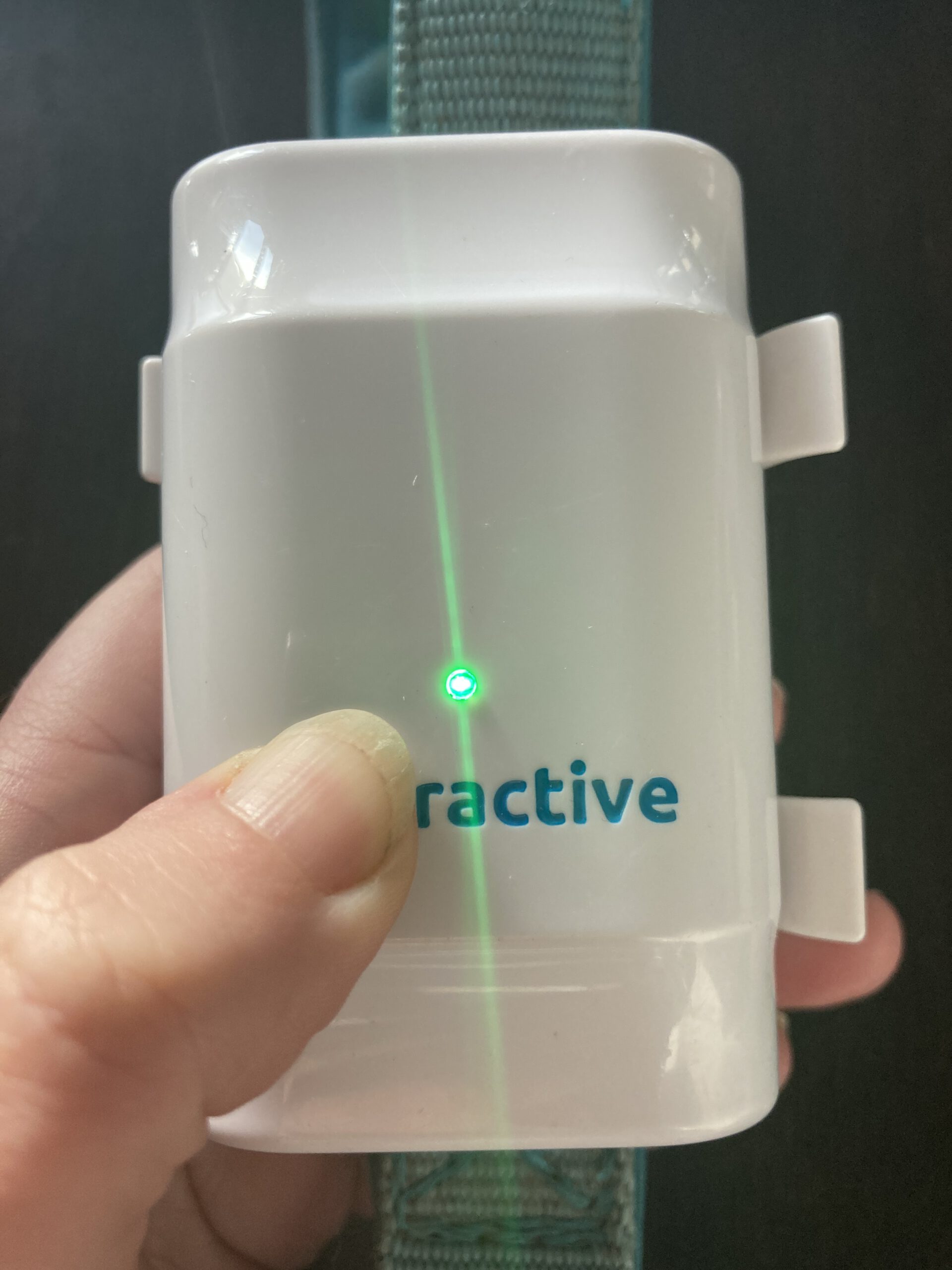 » Im Test: Der GPS Tracker XL von Tractive